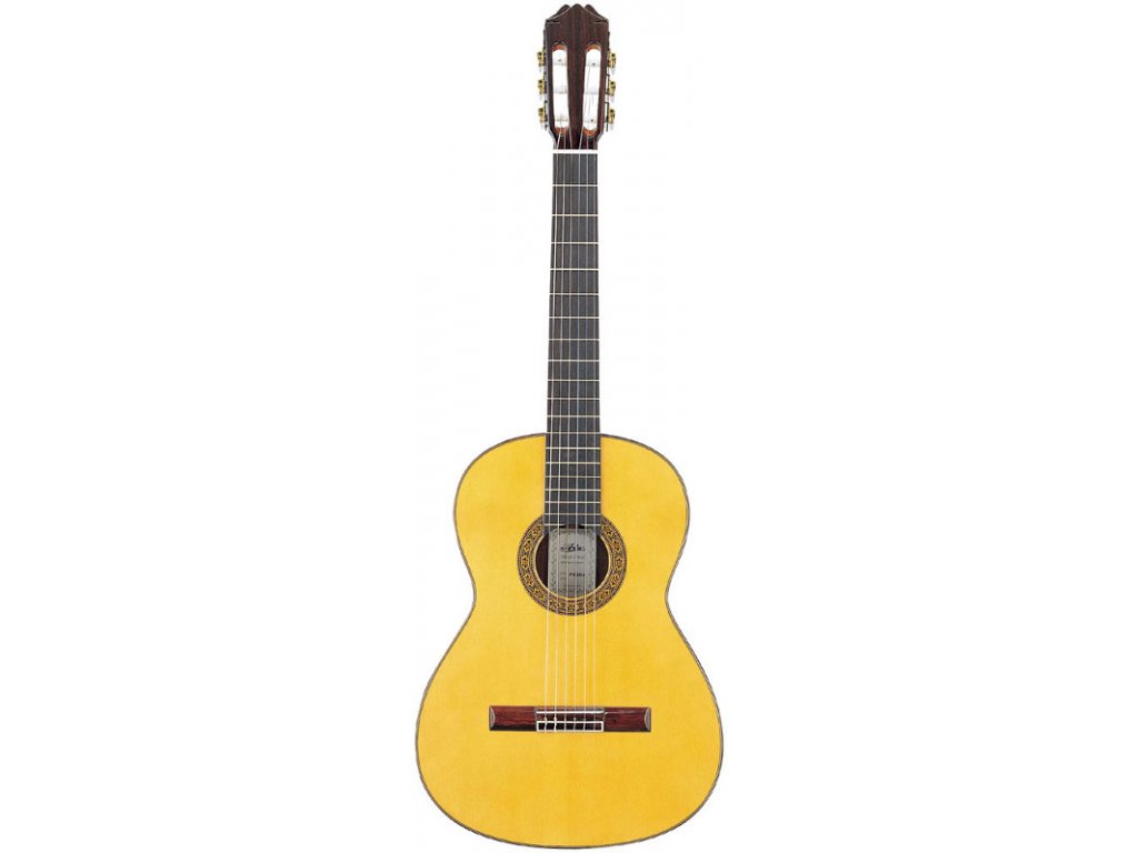 Koncertní kytary - Music Trade Pivoňka